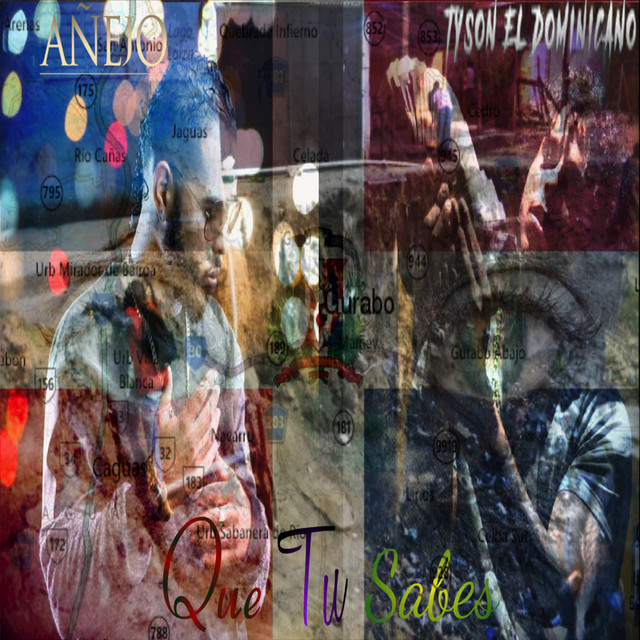 Que Tu Sabes – Single de Tyson El Dominicano | Spotify