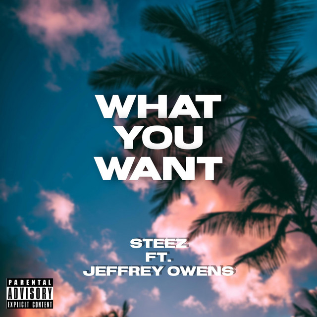 What You Want - Single by Steez | Spotify