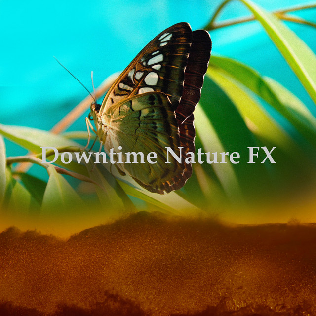 Downtime Nature FX - Album by Calming Sounds | Spotify