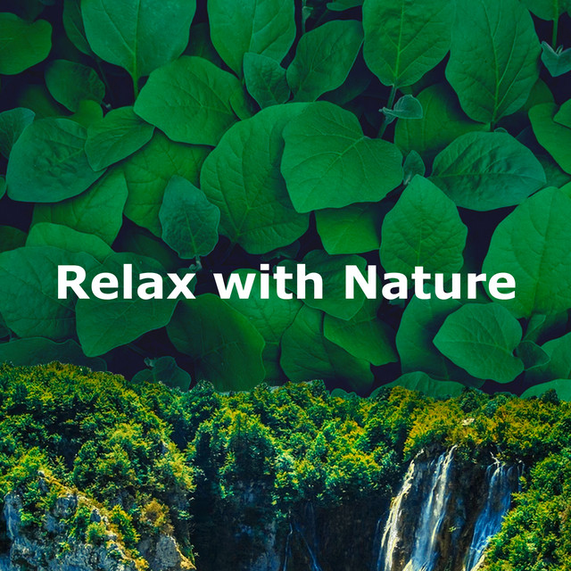 Relax with Nature - Album by Owl Sounds Recordings | Spotify