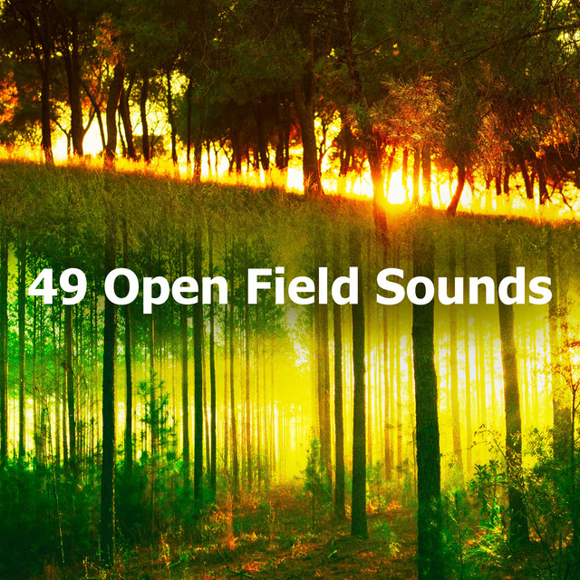 49 Open Field Sounds - Album by Natural Forest Sounds | Spotify