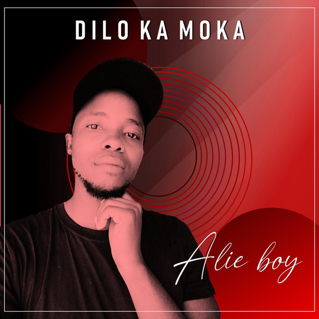 Dilo Ka Moka - Single by Alie boy | Spotify