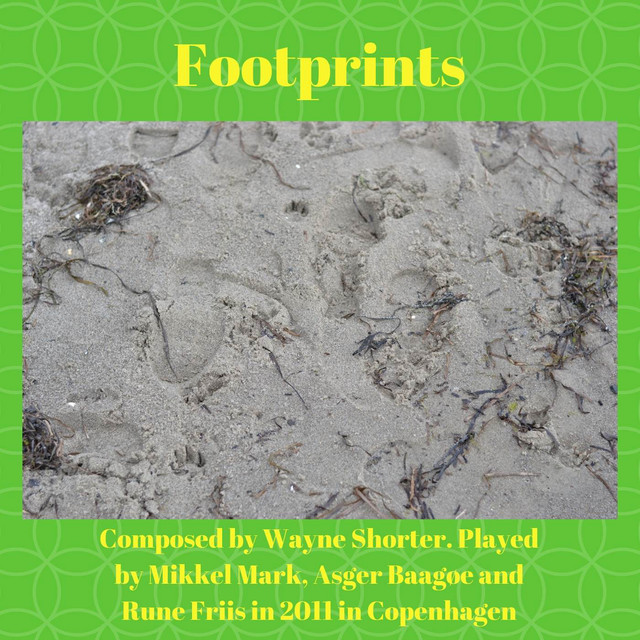 Footprints - Single by Mikkel Mark | Spotify