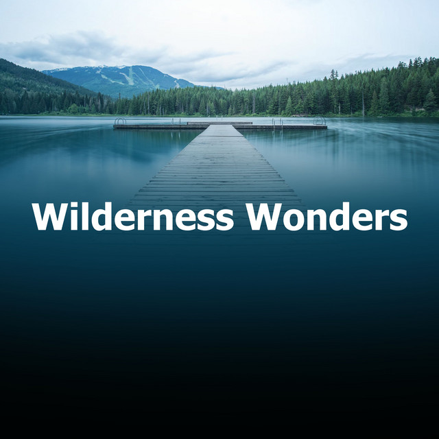 Wilderness Wonders - Album by Wilderness Recorders | Spotify