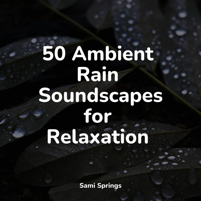 50 Ambient Rain Soundscapes for Relaxation - Album by Relajación | Spotify