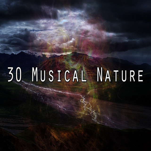 30 Musical Nature - Album by Animal and Bird Songs | Spotify