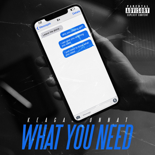 What You Need - song by keagansonnat, anoscetia, Quilibrium | Spotify
