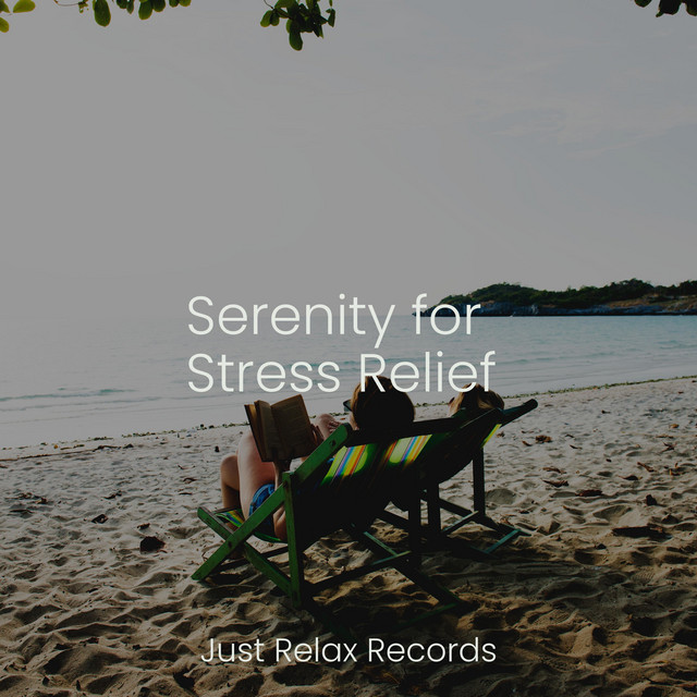 Serenity for Stress Relief - Album by Mantra para Dormir | Spotify