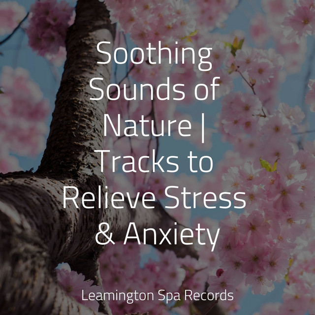 Soothing Sounds of Nature | Tracks to Relieve Stress & Anxiety - Album ...