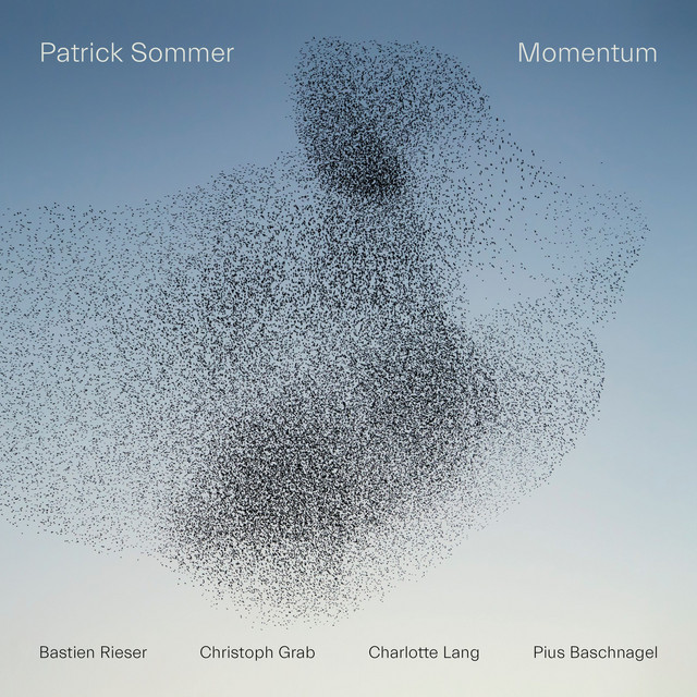 Momentum - Album by Patrick Sommer | Spotify