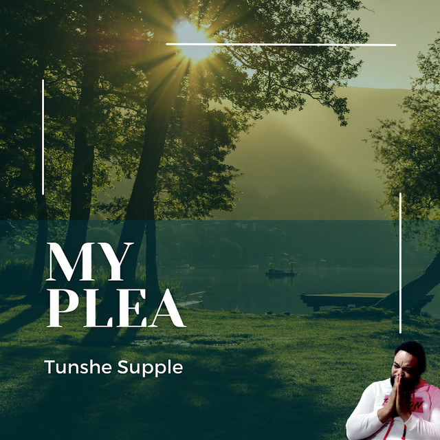 My Plea - Single by Tunshe Supple | Spotify