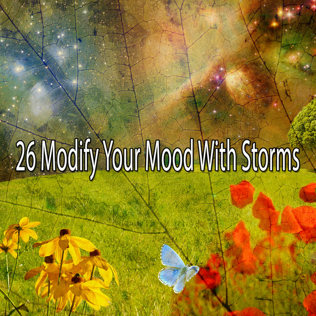 26 Modify Your Mood With Storms - Album by Relaxing Rain Sounds | Spotify