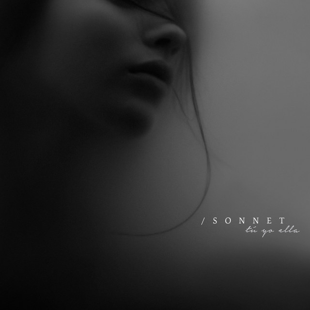 51+ Artists & Bands that Sounds Like Sonnet