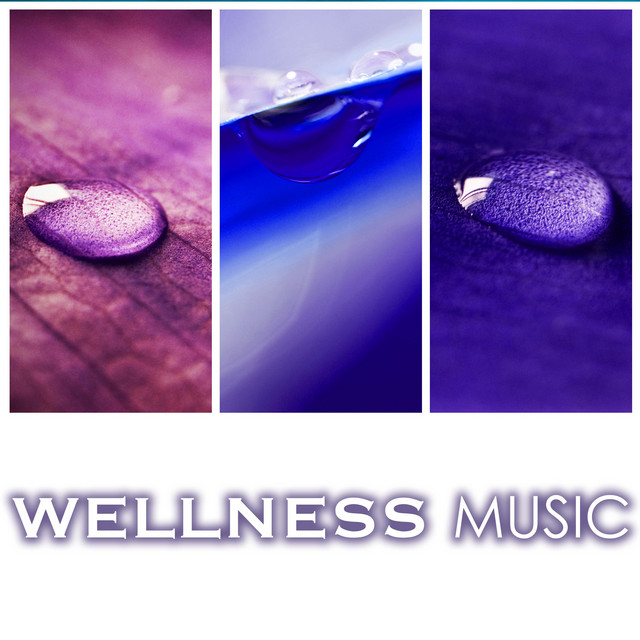 Wellness Music - Spa Sounds with Water - Album by Spiritual Health ...