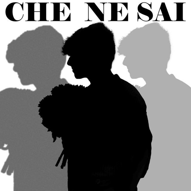 CHE NE SAI - Single by Davide Di Natale | Spotify