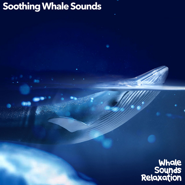 Soothing Whale Sounds - Album by Whale Sounds Relaxation | Spotify