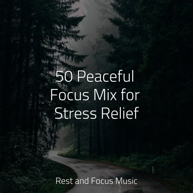 50 Peaceful Focus Mix for Stress Relief - Album by Meditation & Stress ...