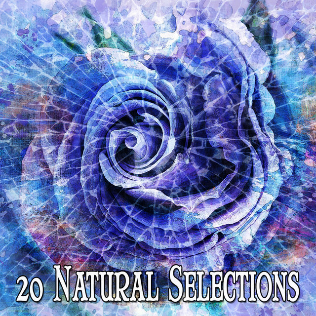 20 Natural Selections - Album by Pro Sound Effects Library | Spotify