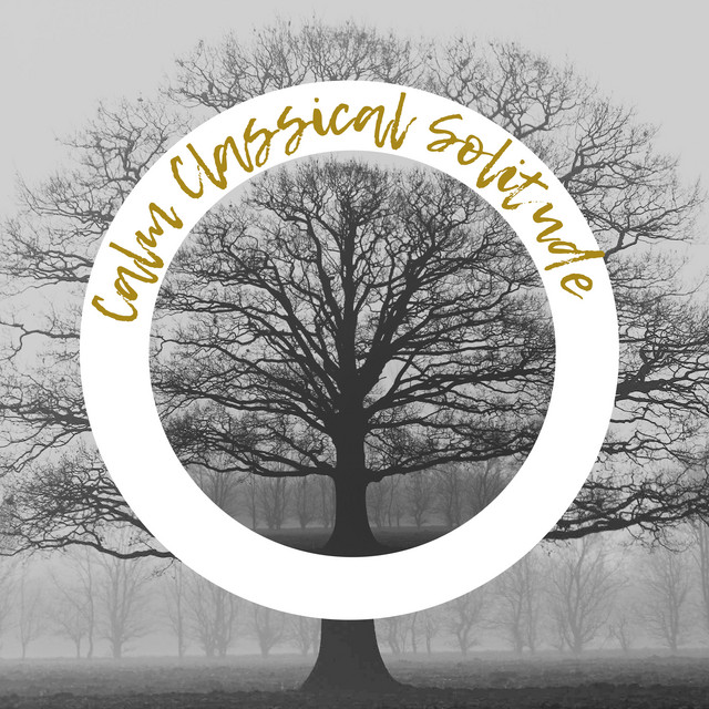 Calm Classical Solitude - Album by Calm Solitude | Spotify