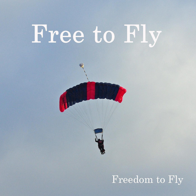 Freedom to Fly | Spotify
