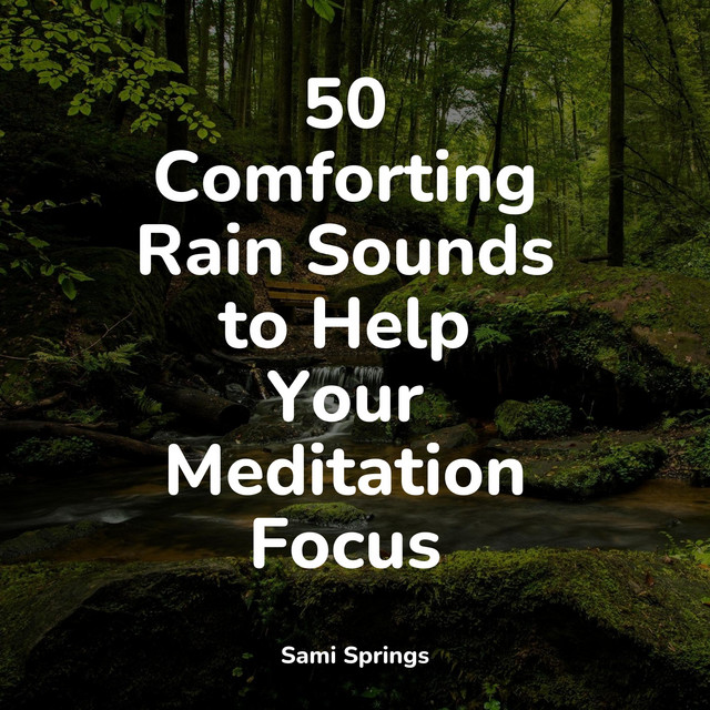 50 Comforting Rain Sounds to Help Your Meditation Focus - Album by Deep ...