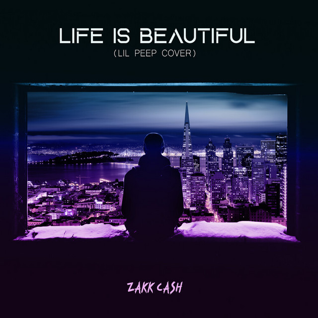 Life Is Beautiful (Lil Peep Cover) - Single by Zakk Cash | Spotify