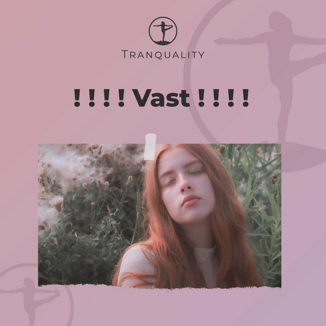 Vast ! ! ! ! - Album by Deep Sleep Music Collective | Spotify