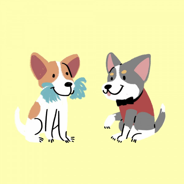 Calm Easy Listening Piano Music - Bgm for Calming Dog Days - Album by ...