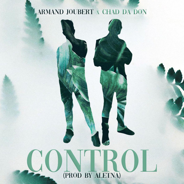 Control - Single by Armand Joubert | Spotify