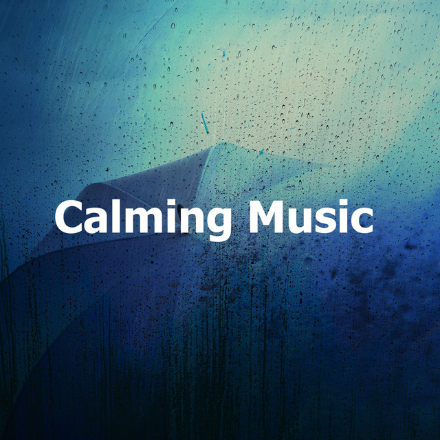 Nature Rain - song and lyrics by Calming Music Academy | Spotify