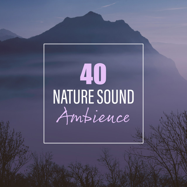 40 Nature Sound Ambience - Album by Nature Soundscapes | Spotify