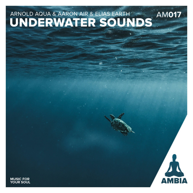 Whale Vocalization - song and lyrics by Elias Earth, Aaron Air, Arnold ...