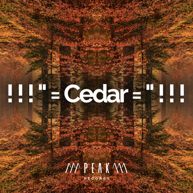 Cedar = " ! ! ! - Album by Rest & Relax Nature Sounds Artists | Spotify