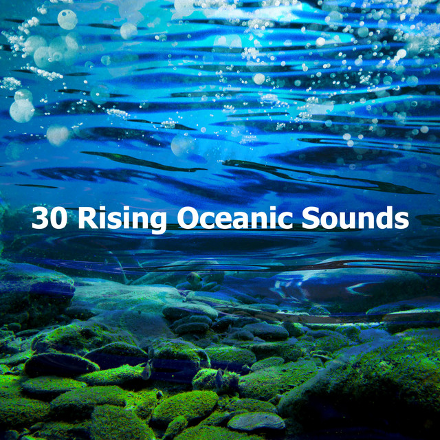 30 Rising Oceanic Sounds - Album by Oceanic Sounds | Spotify