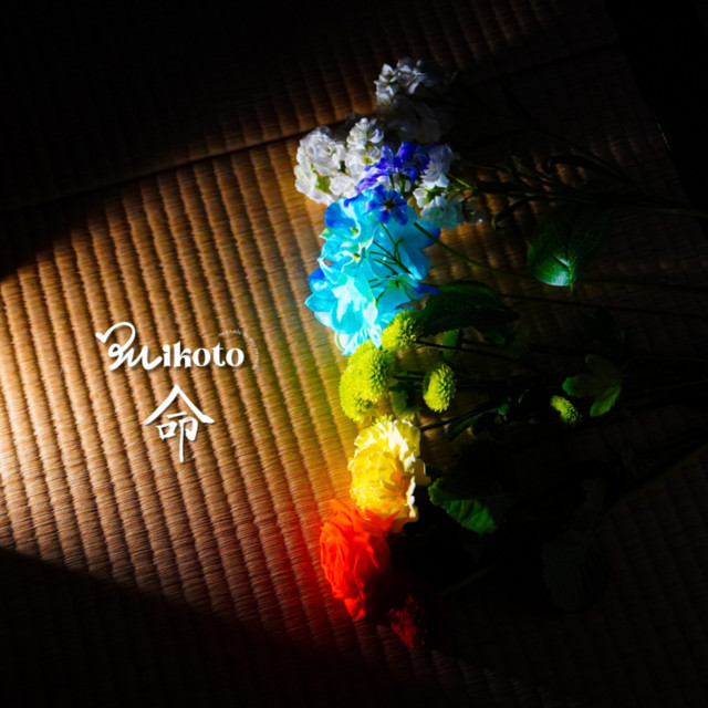 SARUME | Spotify