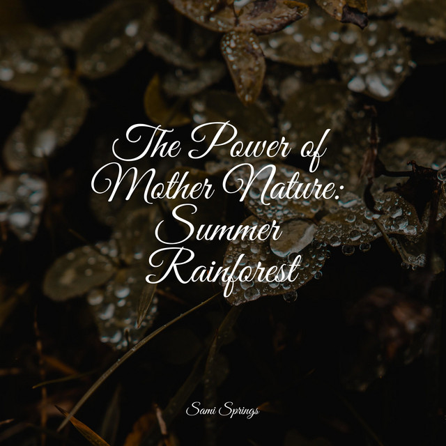 Sound of Storms - song and lyrics by Relajación, Weather Sounds ...