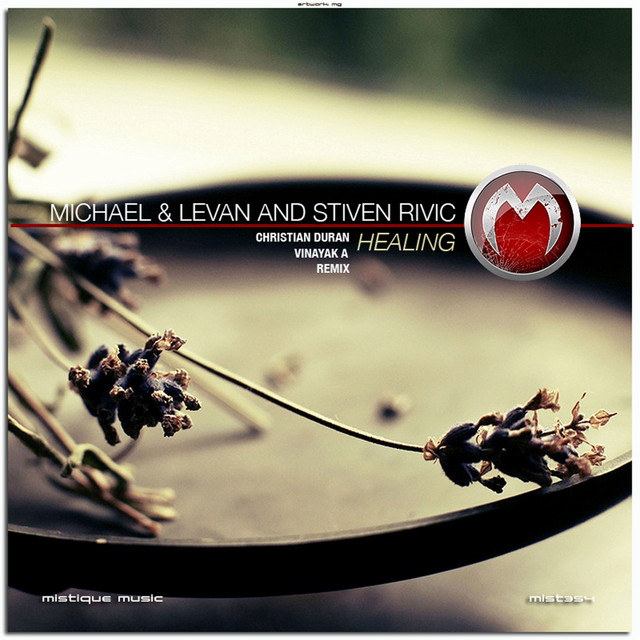 Healing - Single by Michael & Levan | Spotify