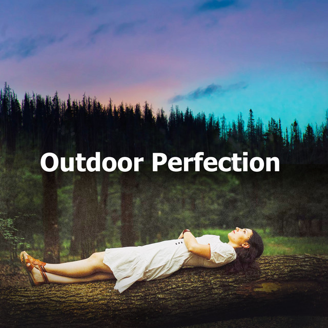 Outdoor Perfection - Album by Outside HD Samples | Spotify