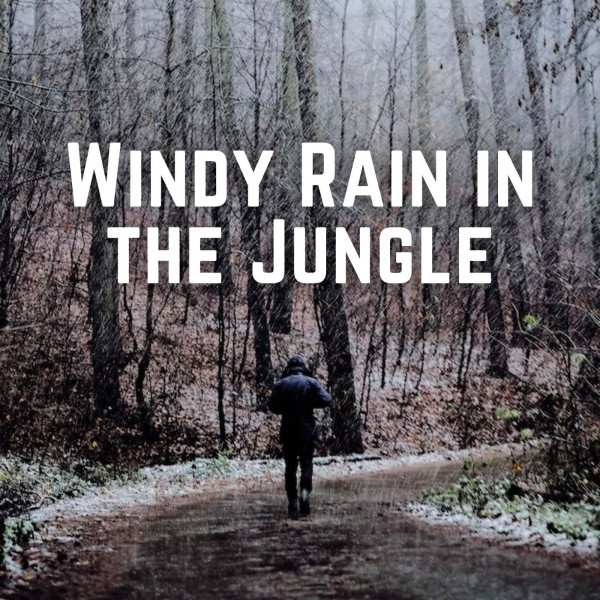 Windy Rain in the Jungle - Album by Soft Music Playlisted | Spotify