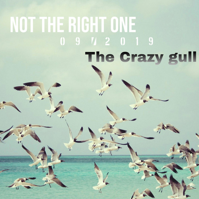 BPM and key for songs by The Crazy Gull | Tempo for The Crazy Gull ...