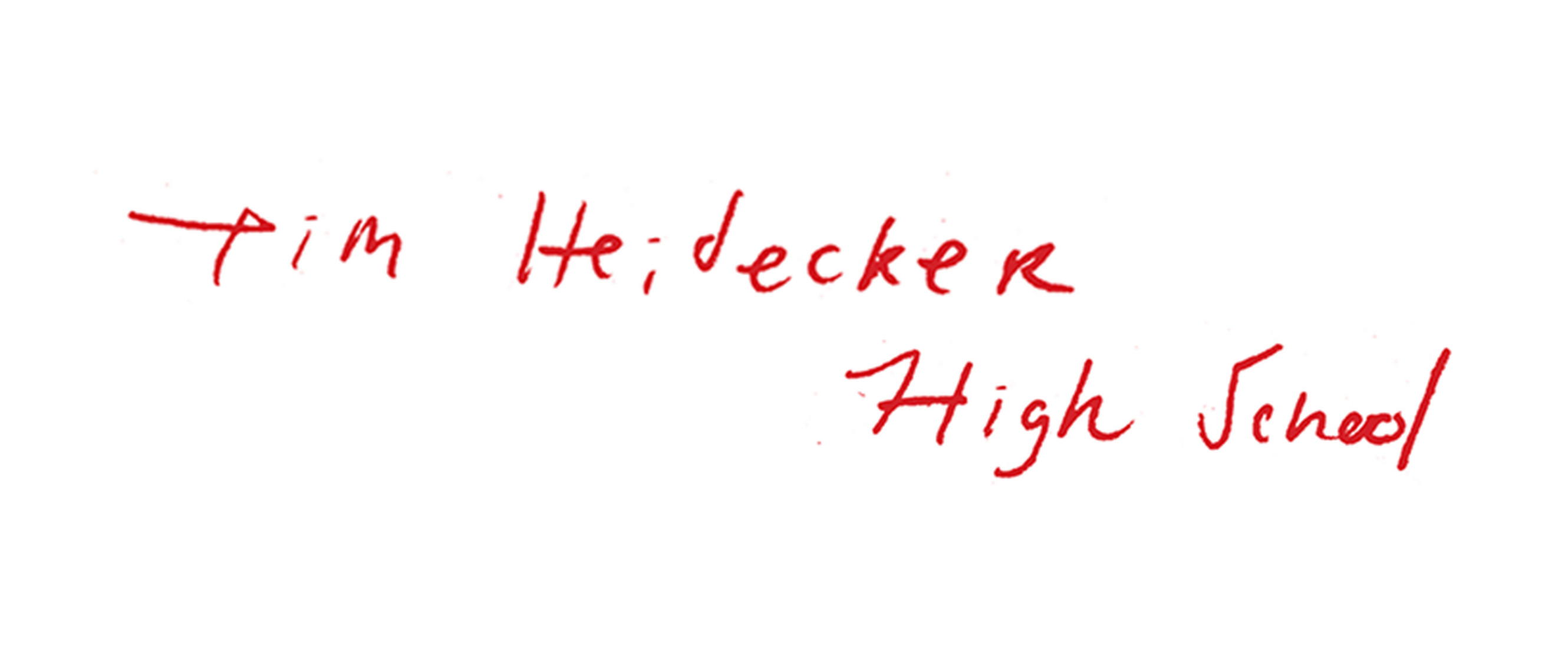 Tim Heidecker