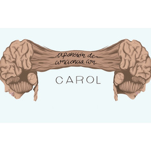 Audiolibro: La Teoría Sintérgica - Jacobo Grinberg - PARTE 1 ️🧠 ...