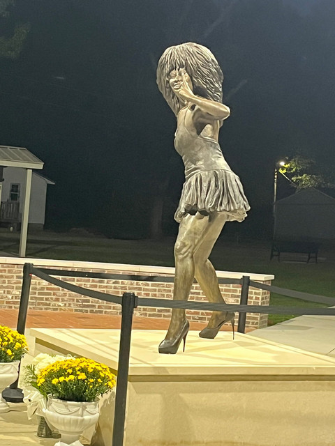 Bronzed Legacy: Sculptor Fred Ajanogha Honors Tina Turner in Stunning ...