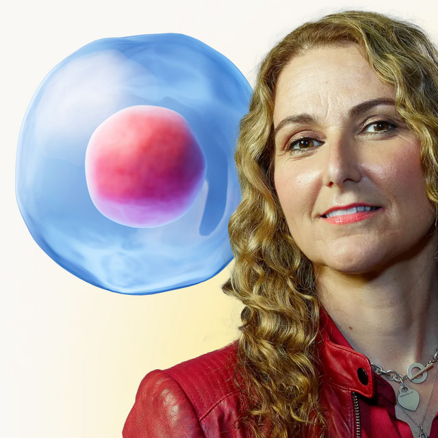 Menstruation: Science, medicine and mythology - ZOE Science & Nutrition ...