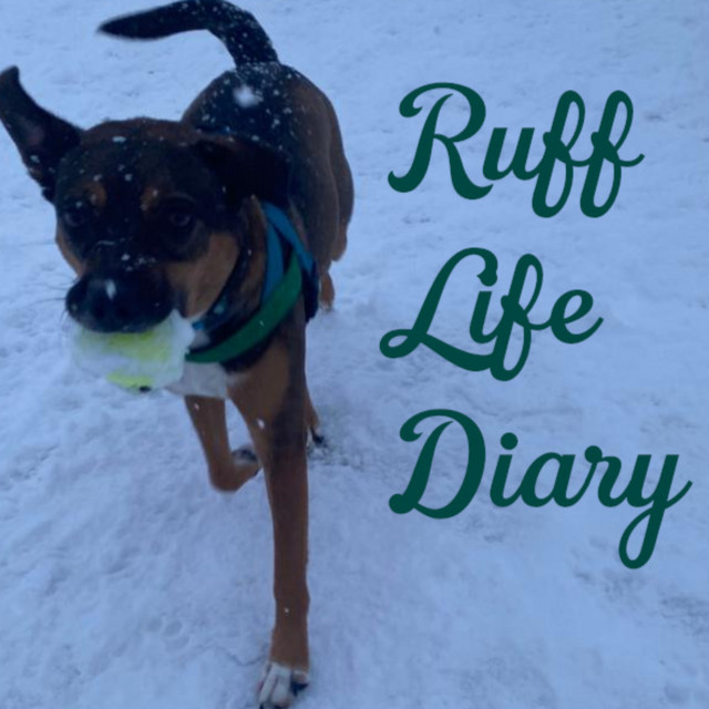 Ruff Life Diary | Podcast on Spotify