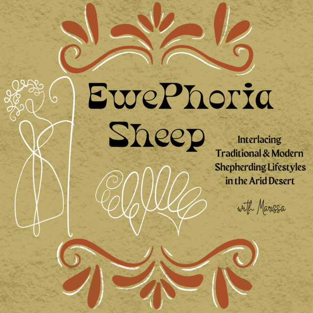 EwePhoria Sheep - Interlacing Traditional & Modern Shepherding ...