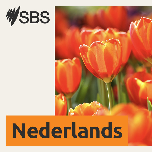 SBS Dutch - SBS Nederlands | Podcast on Spotify
