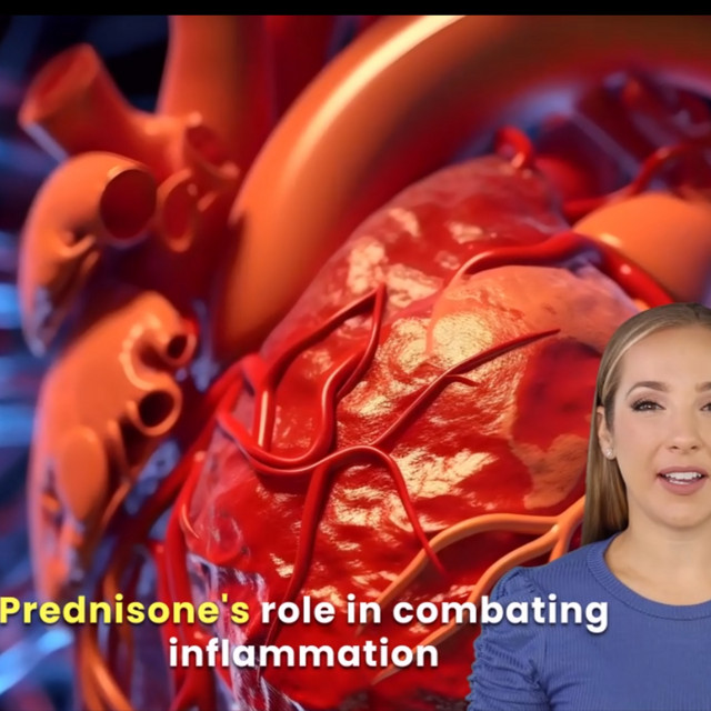 Prednisone’s Role in Combating Inflammation in Heart Failure ...