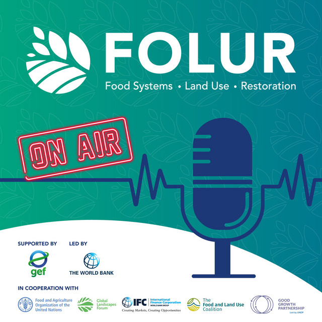 FOLUR on Air | Podcast on Spotify