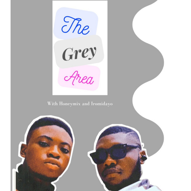 The Grey Area | Podcast on Spotify